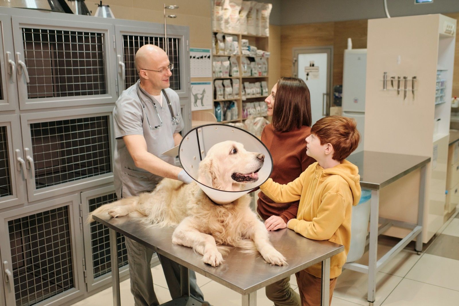 Veterinary Lawyer | Lawyer For Veterinarians | Vet Lawyer